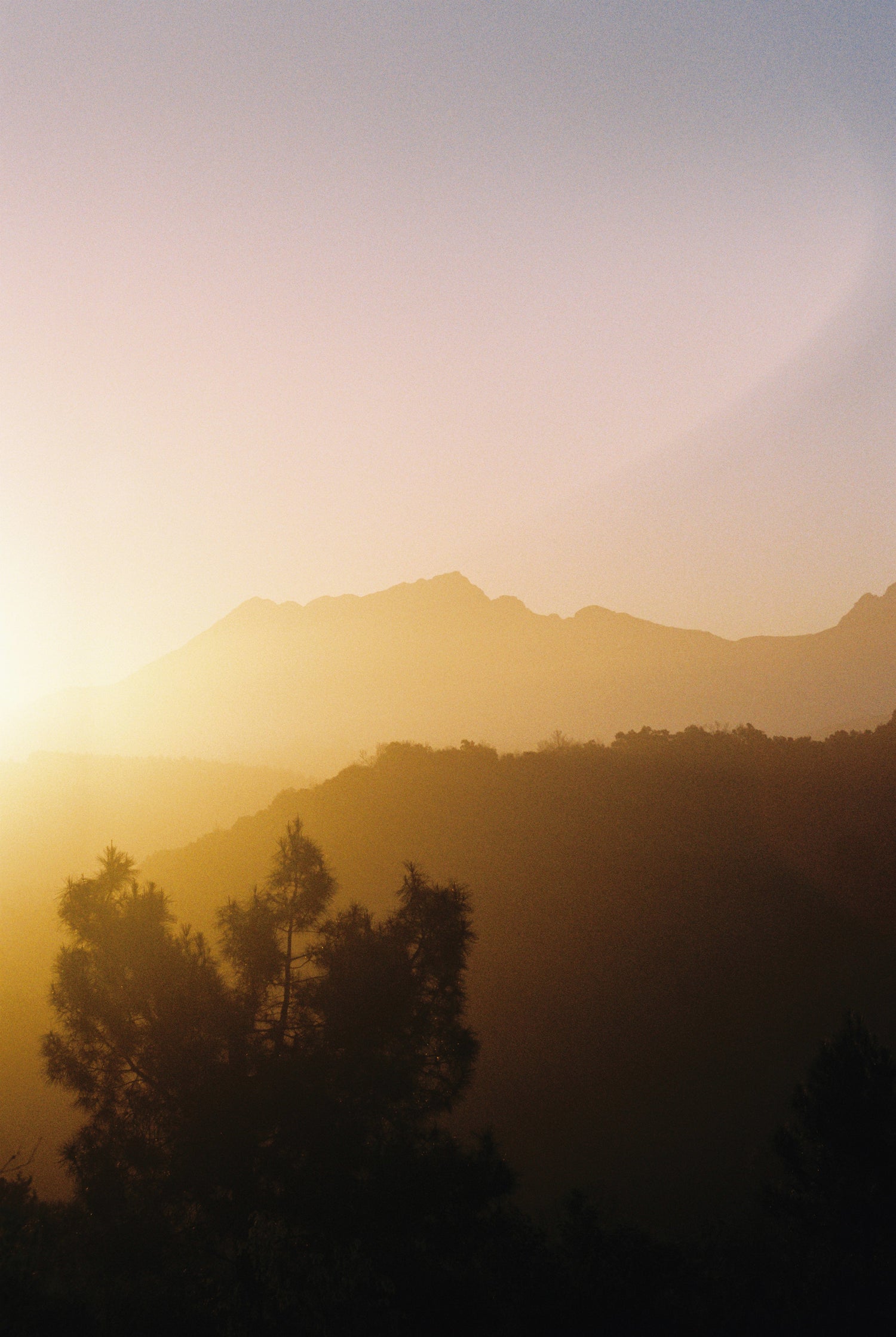 Hemp Caps | Cape Town